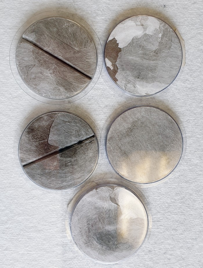 Chemistry helps reconstruct the origin of 2017 ruthenium plume