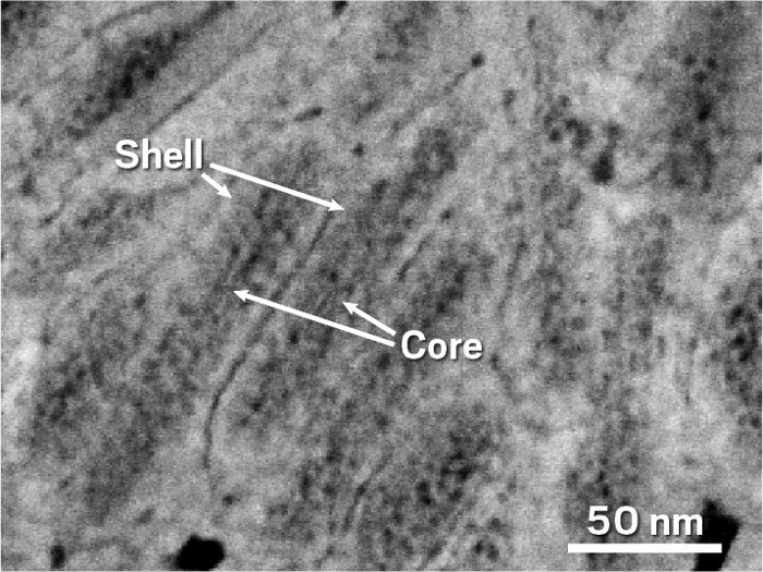 Chemical gradients revealed in human tooth enamel
