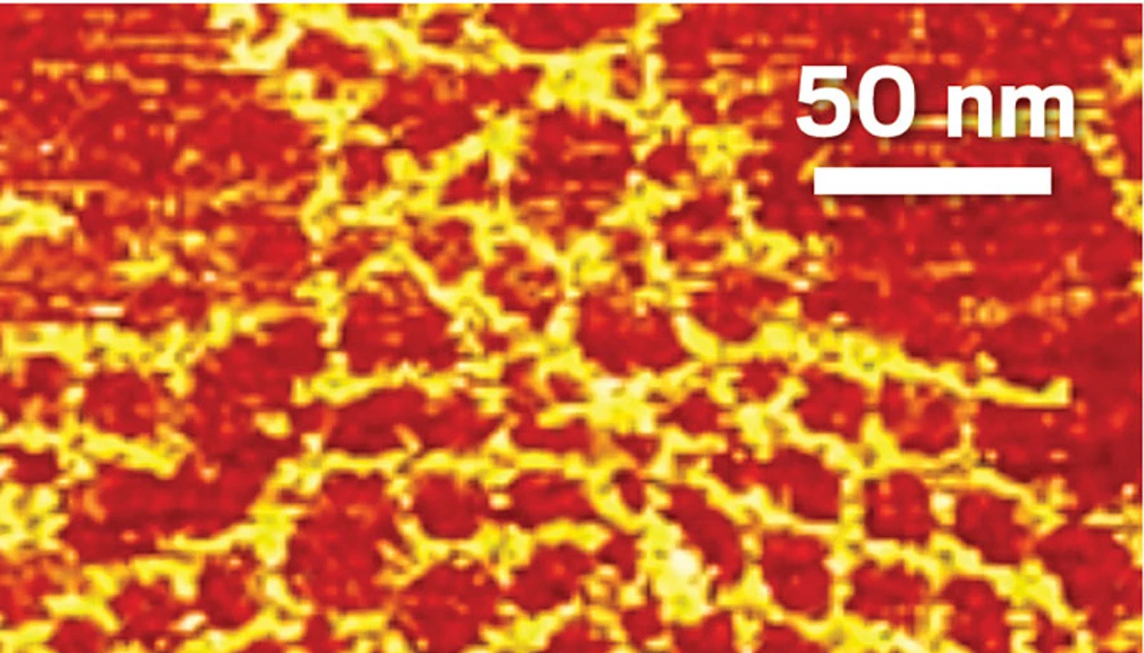 Melamine mediates formation of polythymine duplexes