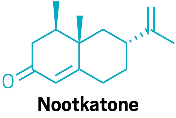 Evolva’s nootkatone insect repellent gets green light