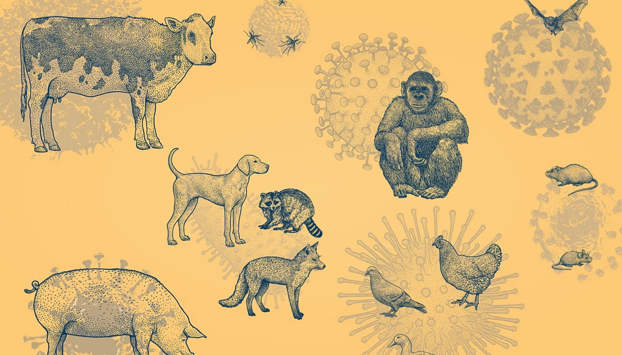 How do viruses leap from animals to people and spark pandemics?