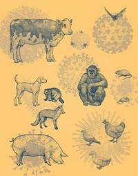 Prehistoric viruses smuggled genes into our DNA