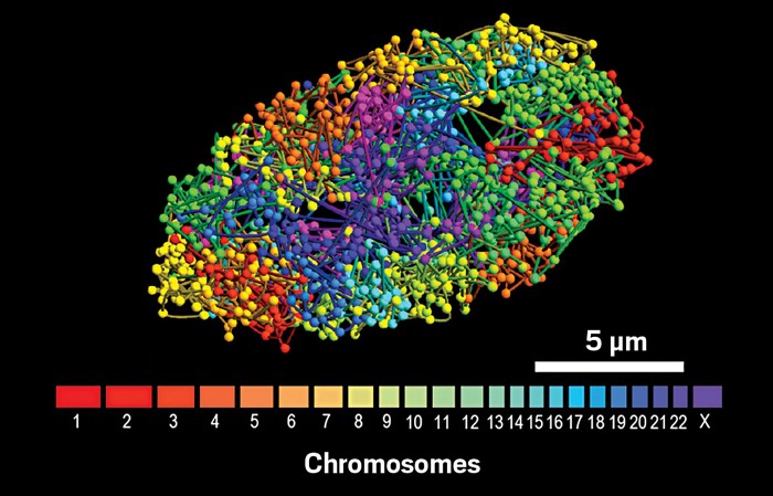 Imaging chromatin architecture at the genome scale