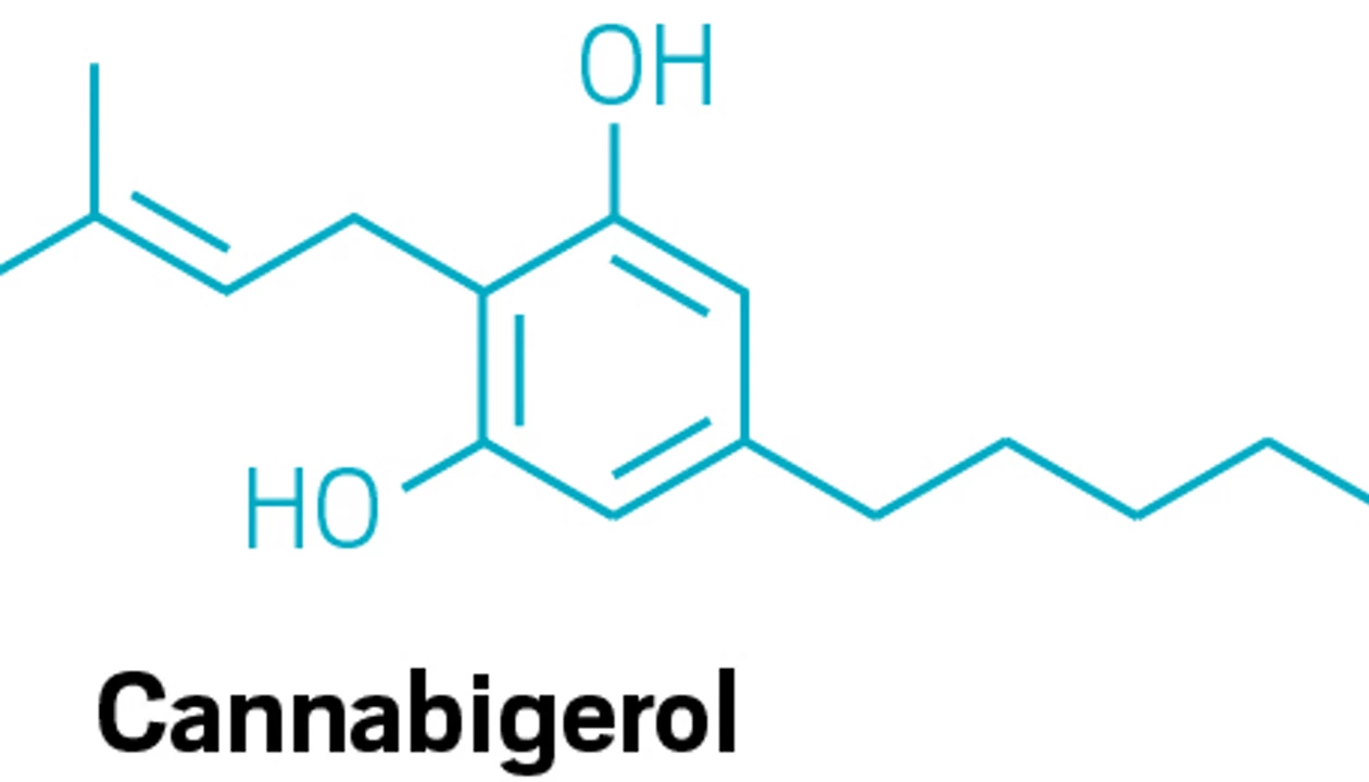 Amyris makes cannabigerol via fermentation