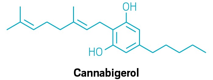 Amyris makes cannabigerol via fermentation