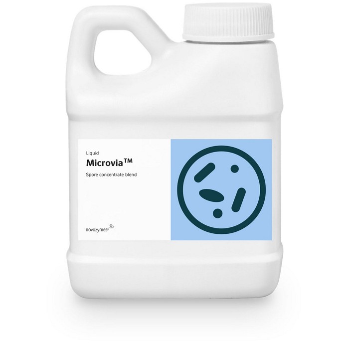 Can bacteria clean your counter?