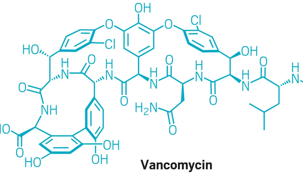 Slimming vancomycin synthesis to make it big