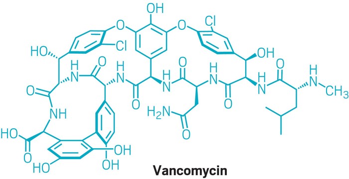 Slimming vancomycin synthesis to make it big