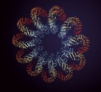 Neumora launches with $500 million to develop drugs for brain diseases