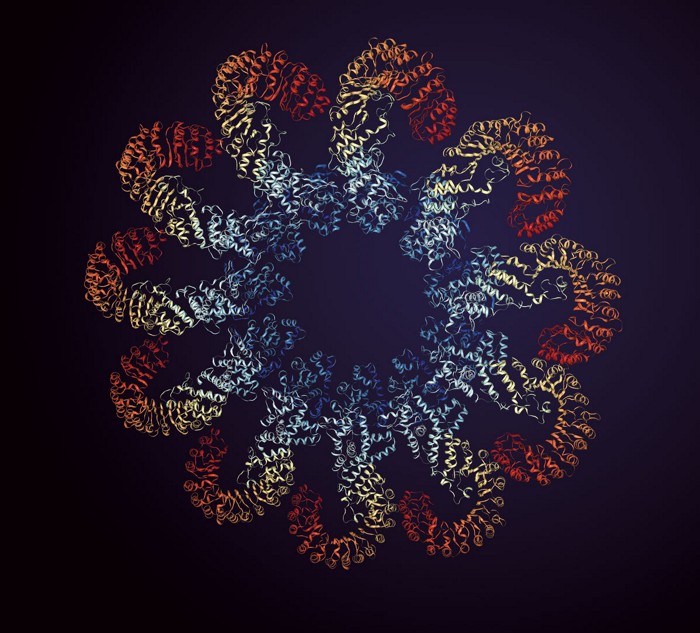 Roche buys Inflazome for $445 million