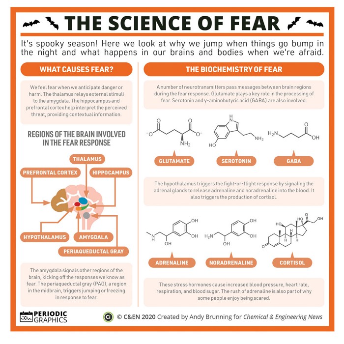 Periodic Graphics: The science of fear