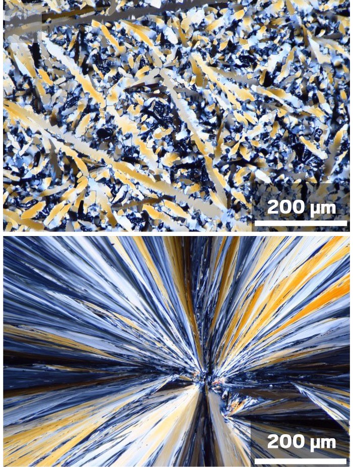 New crystal form of insecticide found