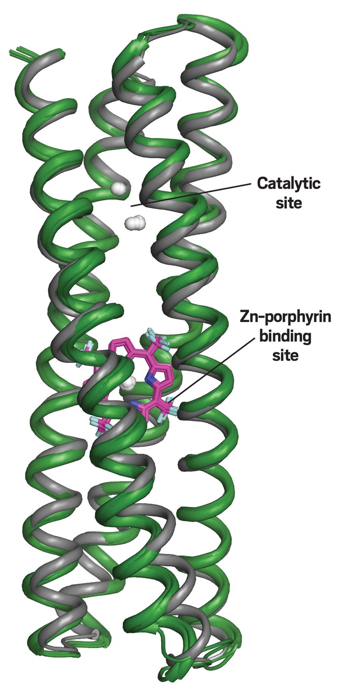 Researchers design allosteric protein from scratch
