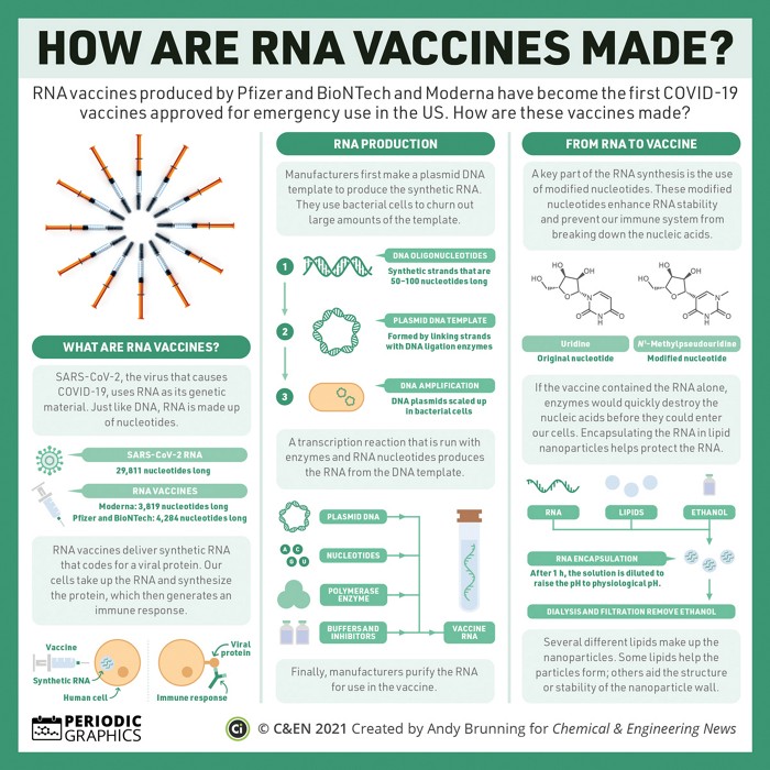 Periodic Graphics: How are RNA vaccines made?