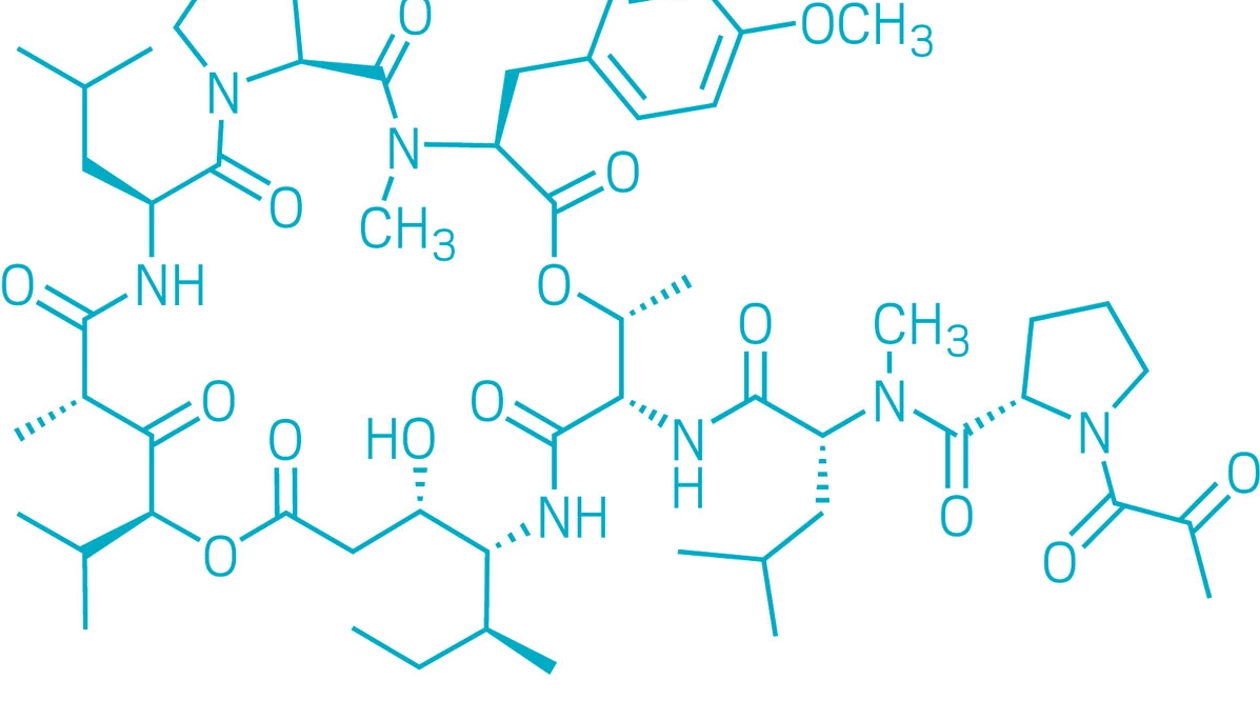 Plitidepsin, a molecule from sea squirts, could be a COVID-19 antiviral