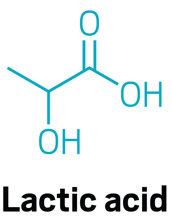 Lactic Acid Structure Lactic Acid Chemical Structure Lactic Acid
