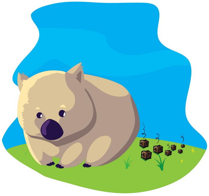 Wombat Drawing Wombat In Cartoon Funny Cute Shorts And Cap With Spade