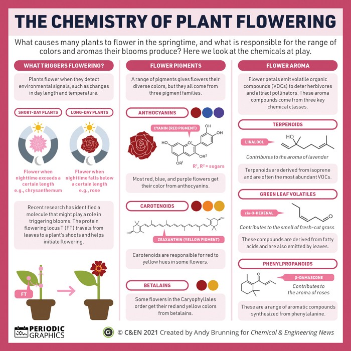 Periodic Graphics: The chemistry of plant flowering