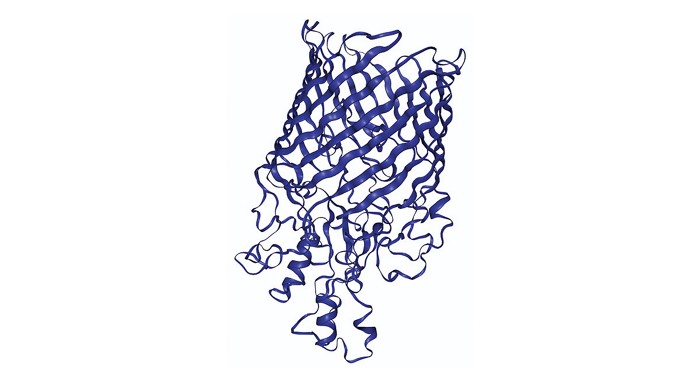 Thousands of predicted protein structures released
