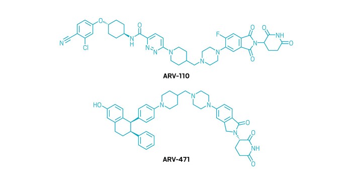 Arvinas unveils PROTAC structures