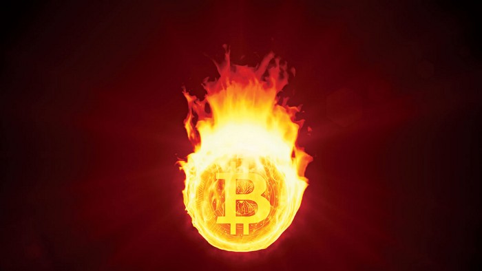 A bitcoin rush and purple maize