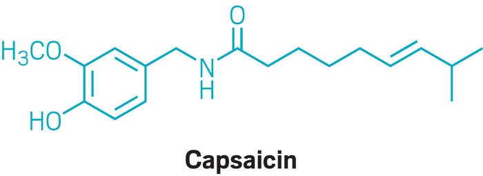 Conagen makes strides in biobased chemicals