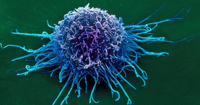 A big week for biotechs and bispecifics