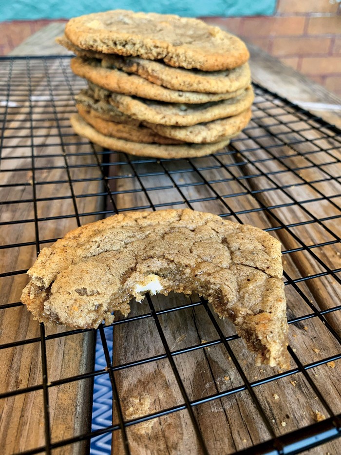 Shape-changing pasta and edible-insect nutrition