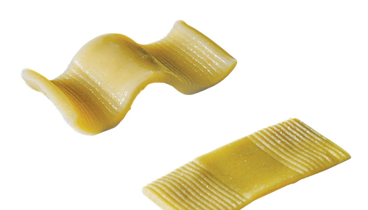 Shape-changing pasta and edible-insect nutrition