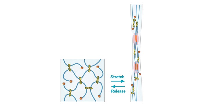 Hydrogels reinforced with rings on strings