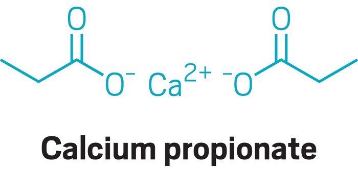 Kerry to buy preservative maker Niacet for $1 billion