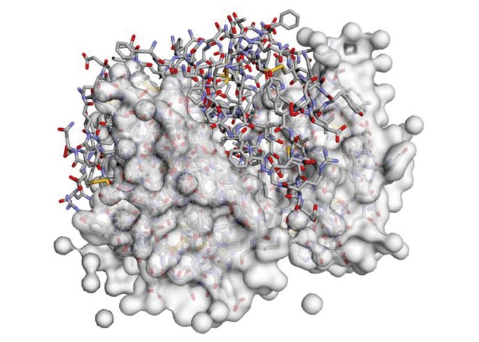 Lilly buys Protomer for diabetes technology