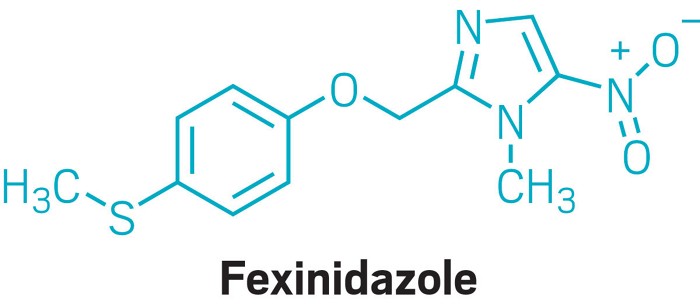 FDA approves sleeping sickness drug fexindazole