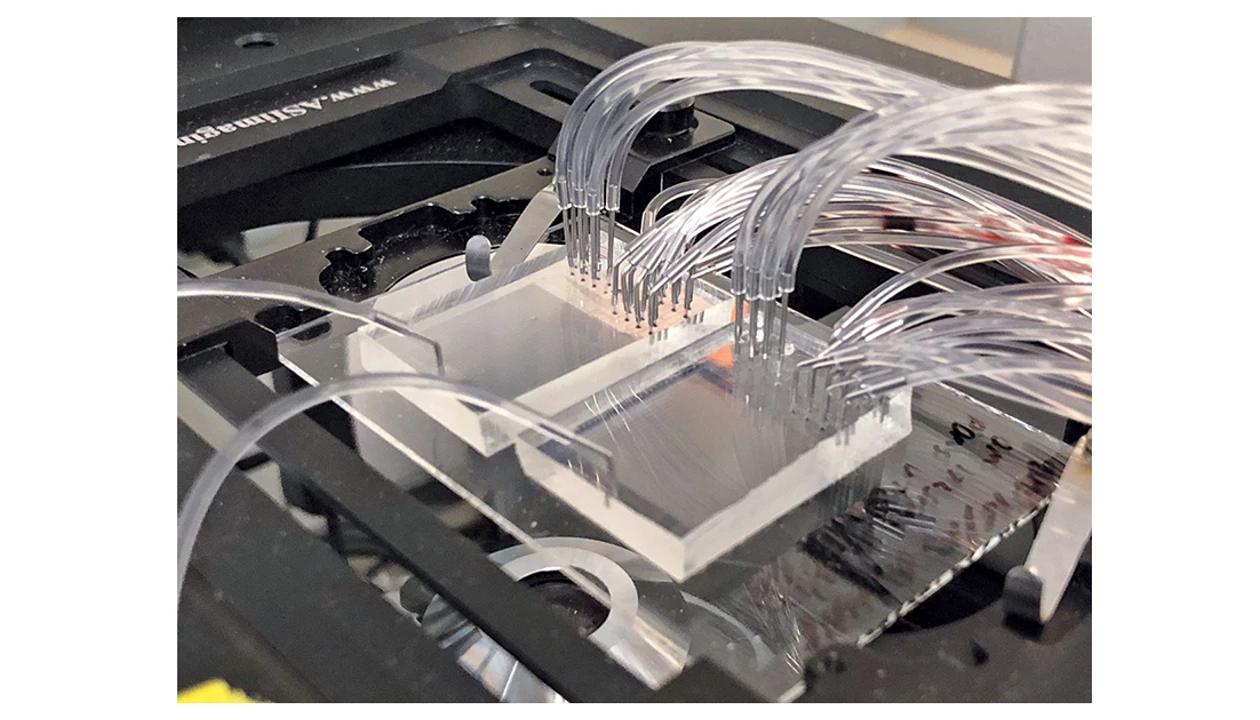 High-throughput enzymology