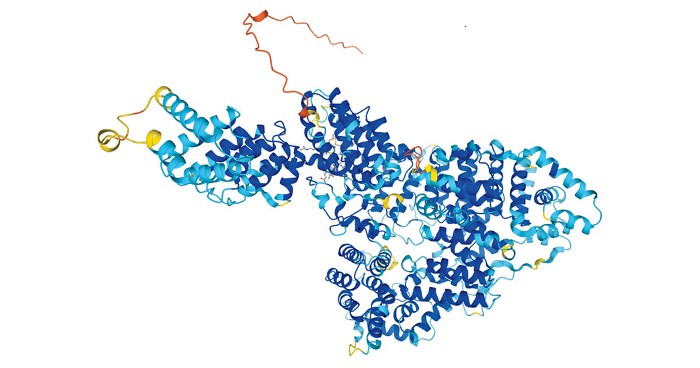 AlphaFold ‘pushes science forward’ by releasing structures of almost ...