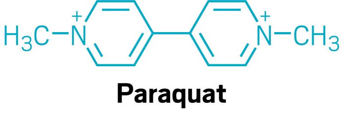 Pesticide paraquat gets green light from US EPA