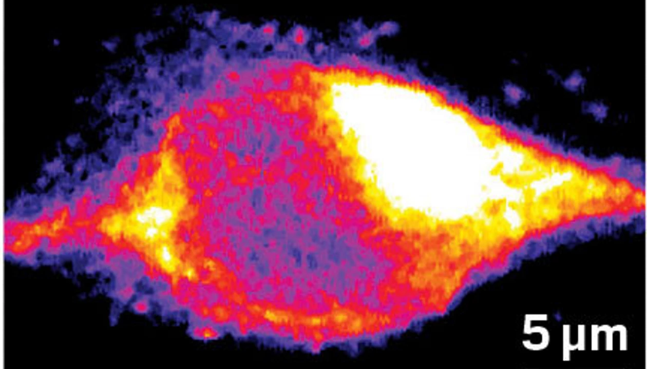 A better way to do infrared microspectroscopy