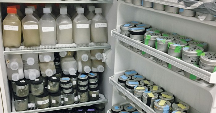 Quat disinfectants are helping during the pandemic. But could they ...