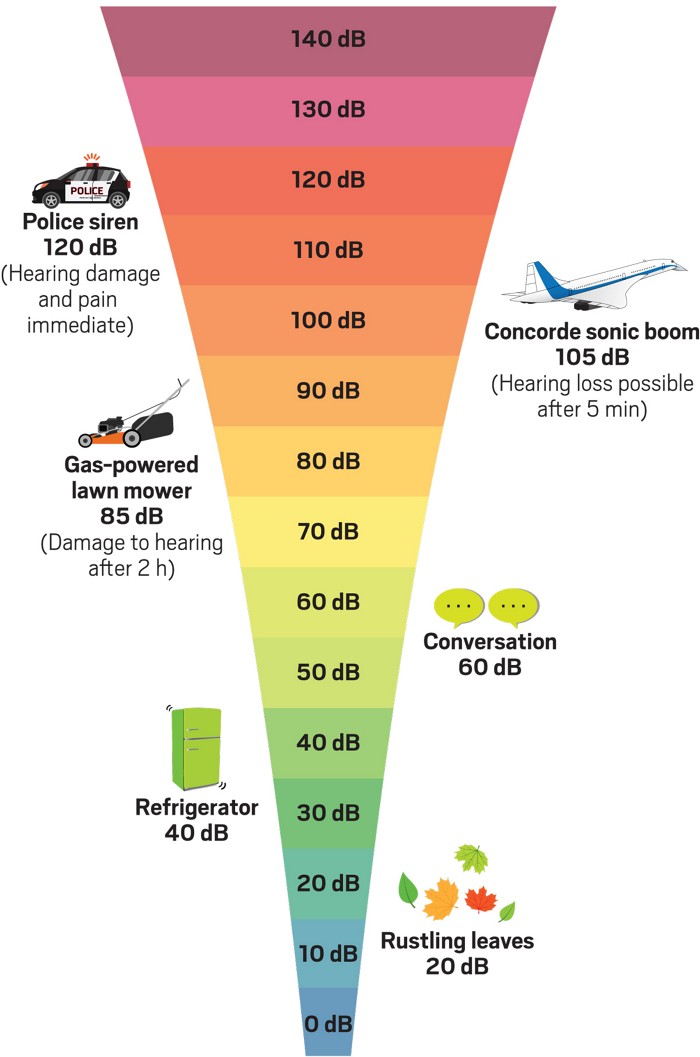 Airlines want to make flight more sustainable. How will they do it?