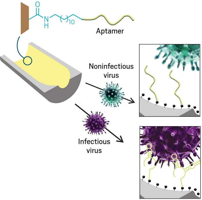 Aptamer-nanopore sensor detects only infectious viruses