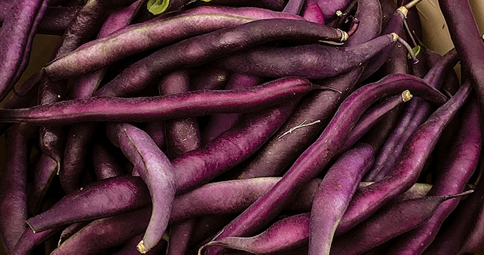 Colorful science: purple bean pods and dazzling white paint that cools