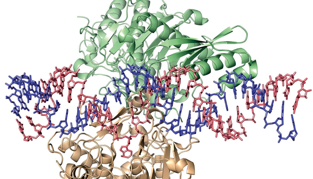 RNA-editing race intensifies as Big Pharma buys in
