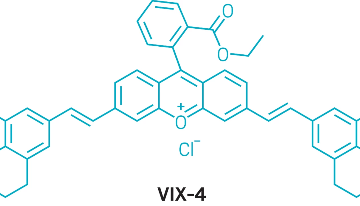New dyes improve bioimaging in mice