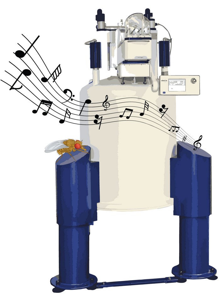 A different spin on NMR
