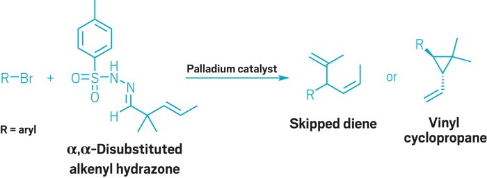 Hydrazone performs cross-coupling twofer