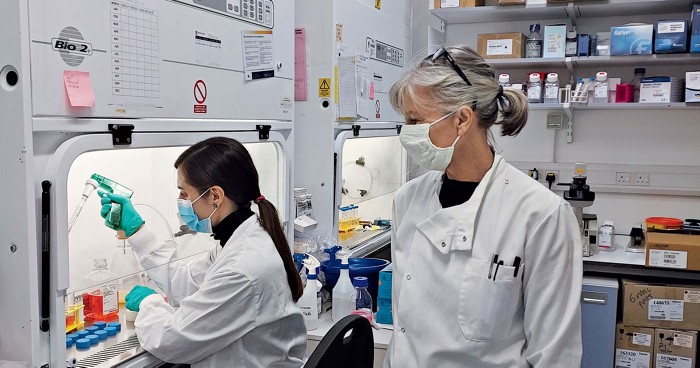 Researchers on parental leave get help in the lab