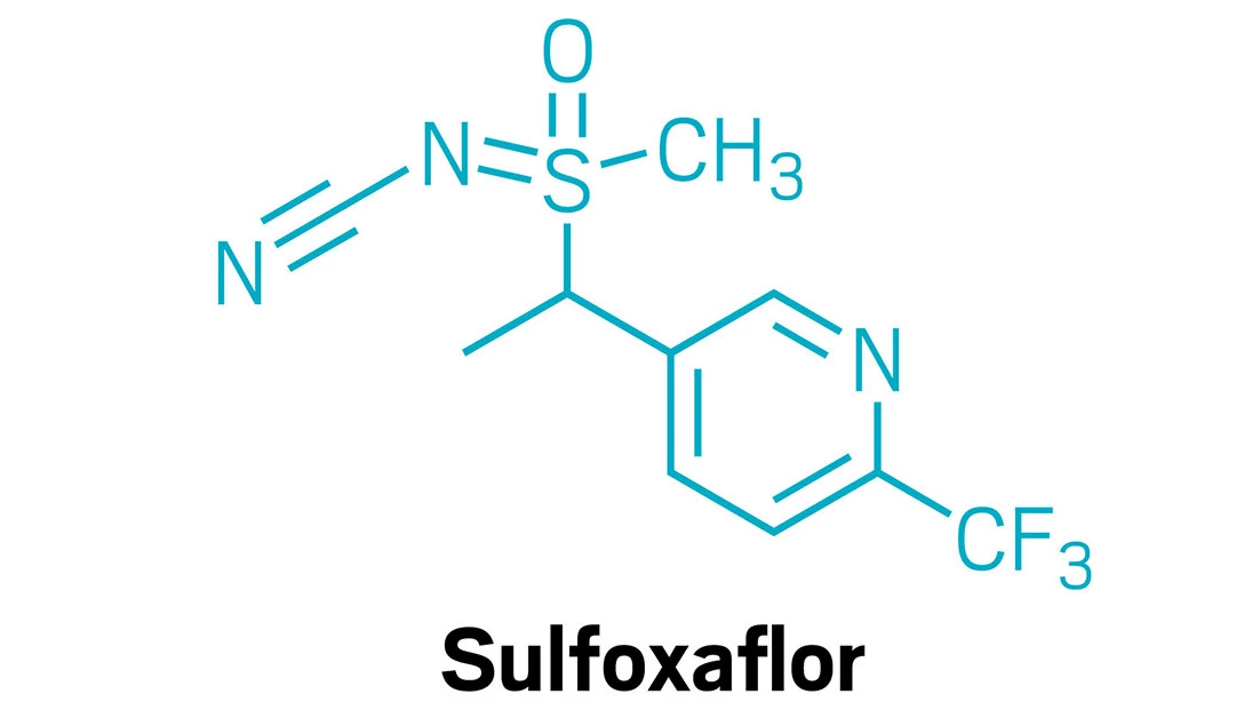 Sulfoxaflor may put dozens of species at risk of extinction