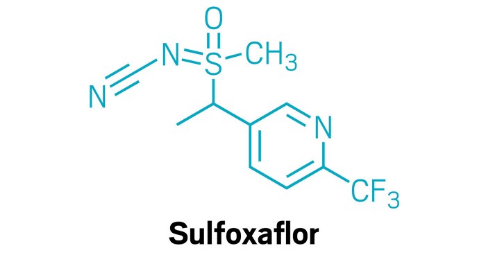 Sulfoxaflor may put dozens of species at risk of extinction
