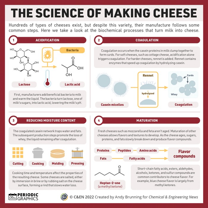Periodic Graphics: The science of making cheese