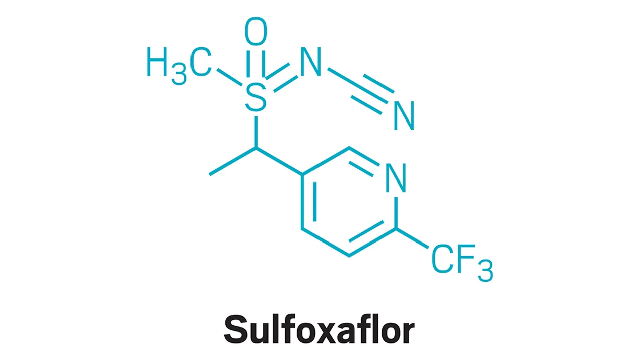 Sulfoxaflor poses risks to endangered species, US EPA finds